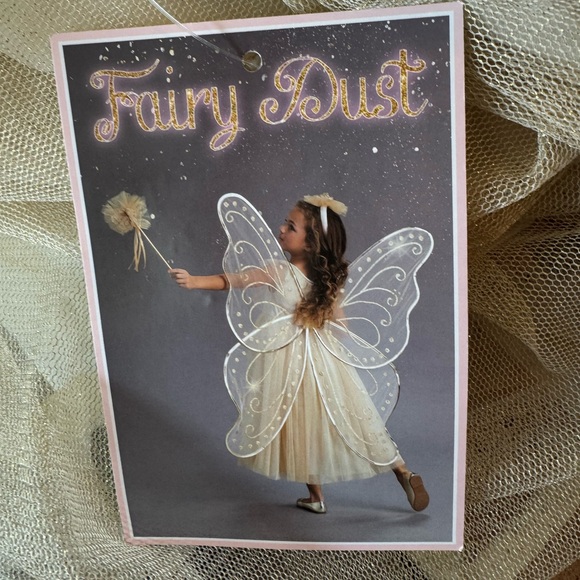 Fairy Dust | Dresses | Fairy Dust Halloween Costume Elegant Cream Tulle ...